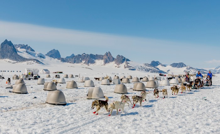 Helicopter & Dog Sled Glacier Trek | NorthStar Helicopter
