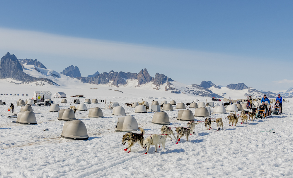 Helicopter & Dog Sled Glacier Trek | NorthStar Helicopter