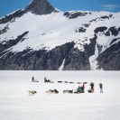 Helicopter & Dog Sled Glacier Trek | NorthStar Helicopter