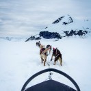 Helicopter & Dog Sled Glacier Trek | NorthStar Helicopter